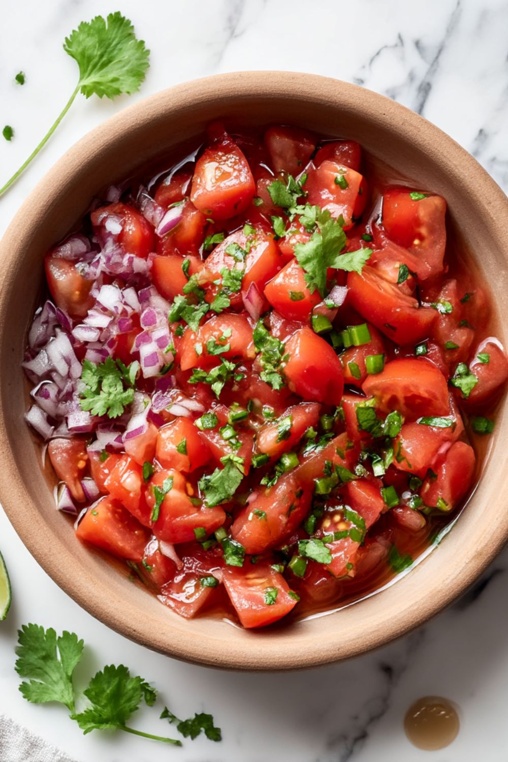 Easy Copycat Chipotle Salsa Recipe (Fresh Tomato Pico de Gallo)